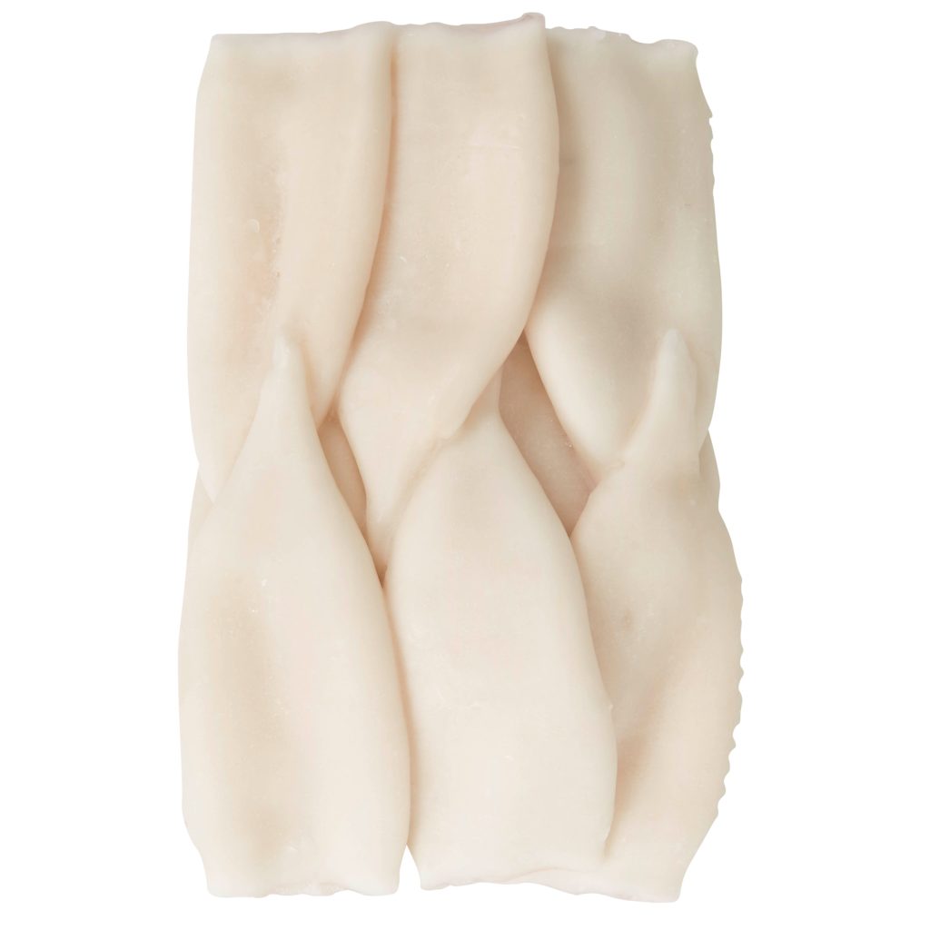 Squid Tubes (Todarodes) - Pêcheries Oceanic